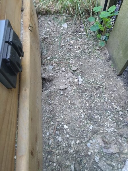 Rodent proofing a deck - RedFlagDeals.com Forums