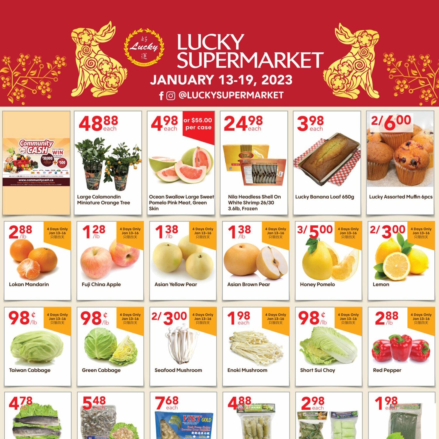 Fruiticana Weekly Flyer - Weekly Specials (Surrey/BC) - Jan 13 – 19 ...