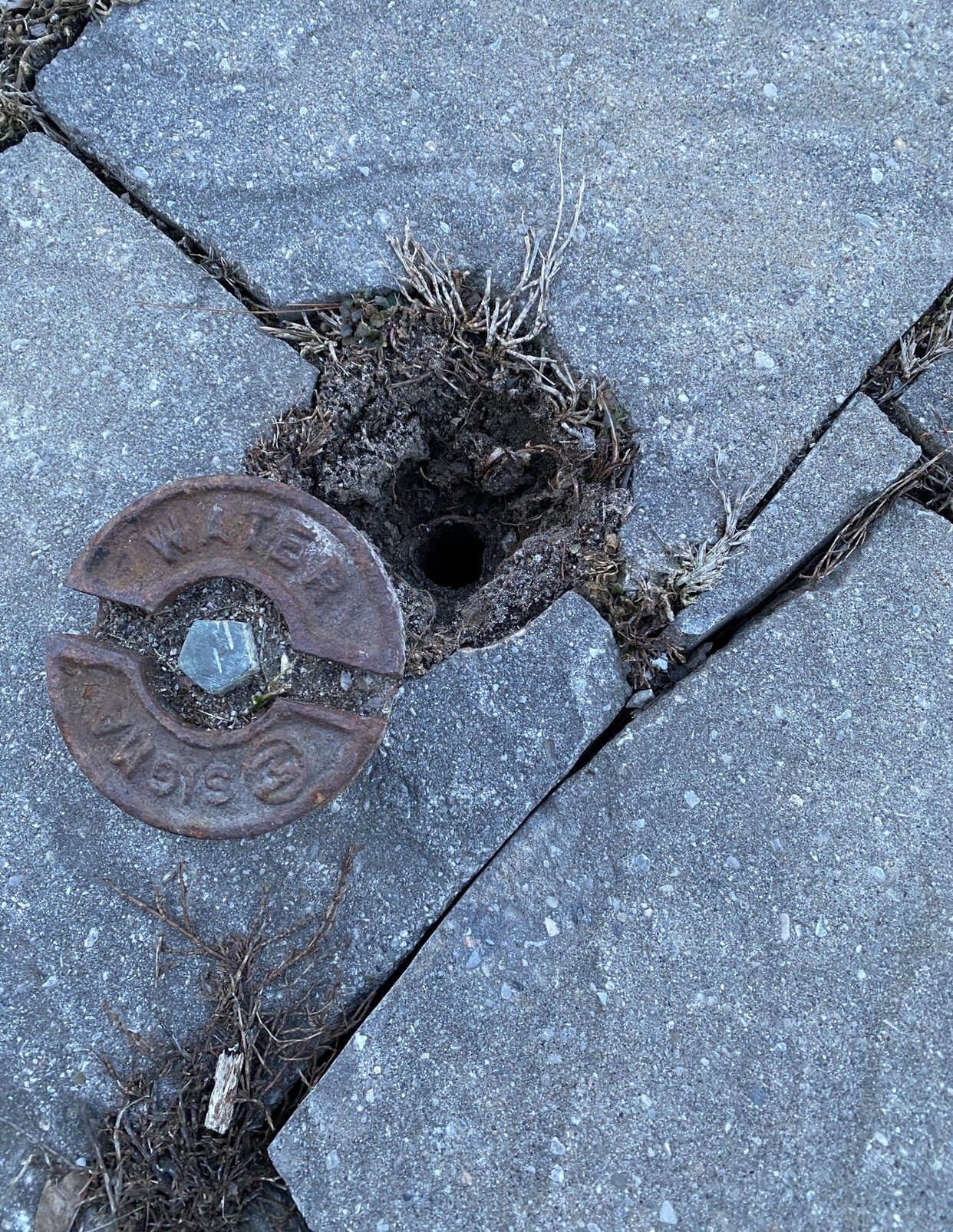 Water valve on driveway pop up? - RedFlagDeals.com Forums