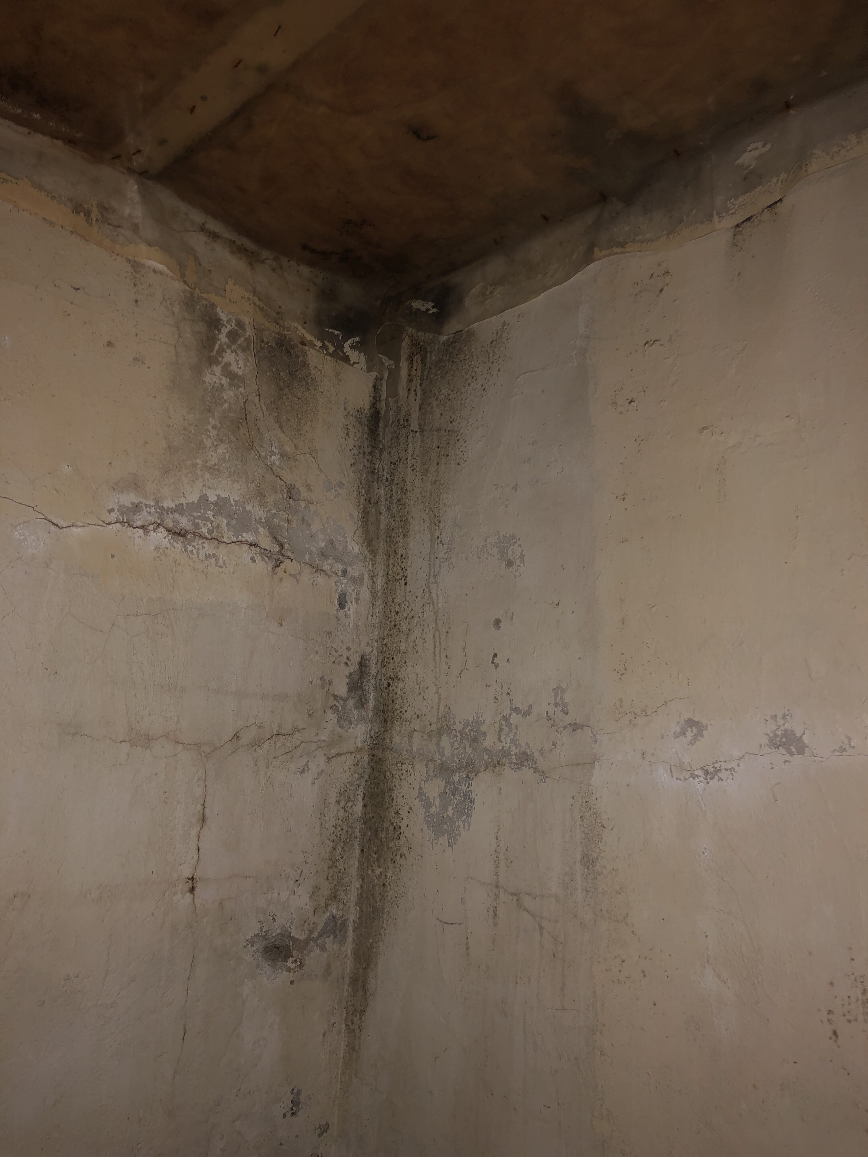 Cold cellar ceiling corners water leak - winter only - RedFlagDeals.com ...