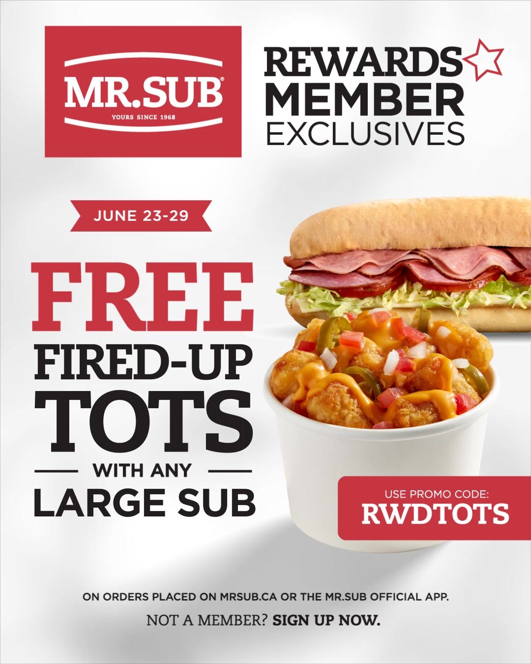 [Mr. Sub] Online free fired up tots (2.99-4.39) with large sub (9.99 ...
