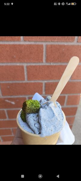 [Pretty Sweet Gelato] Toronto - Free Gelato for First 100 @ Pretty ...