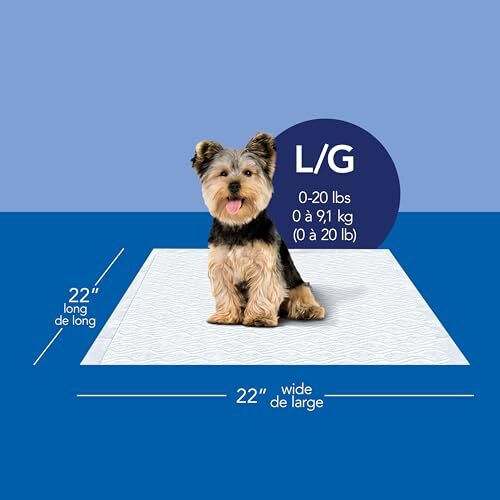 [Amazon.ca] [Big Spring Sale] Scott Pet Guard Dog Pads Large 100 pack ...